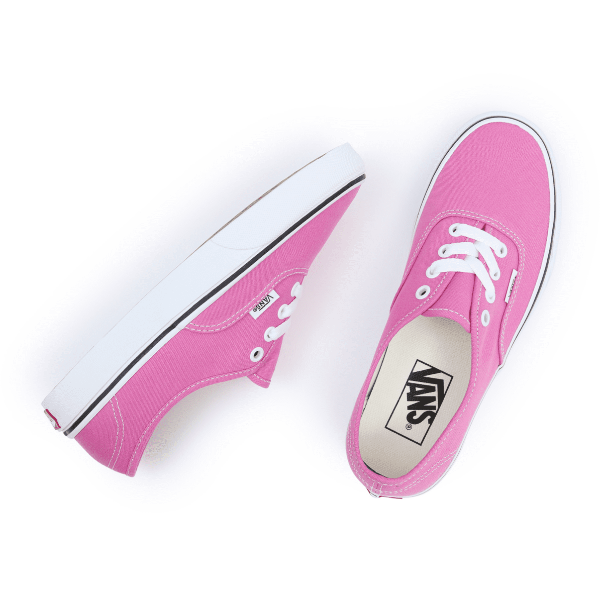 VANS Authentic Roze (VN0A5JMPYOL)