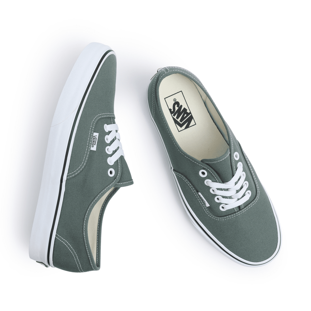 VANS Color Theory Authentic Groen (VN0A5JMPYQW)