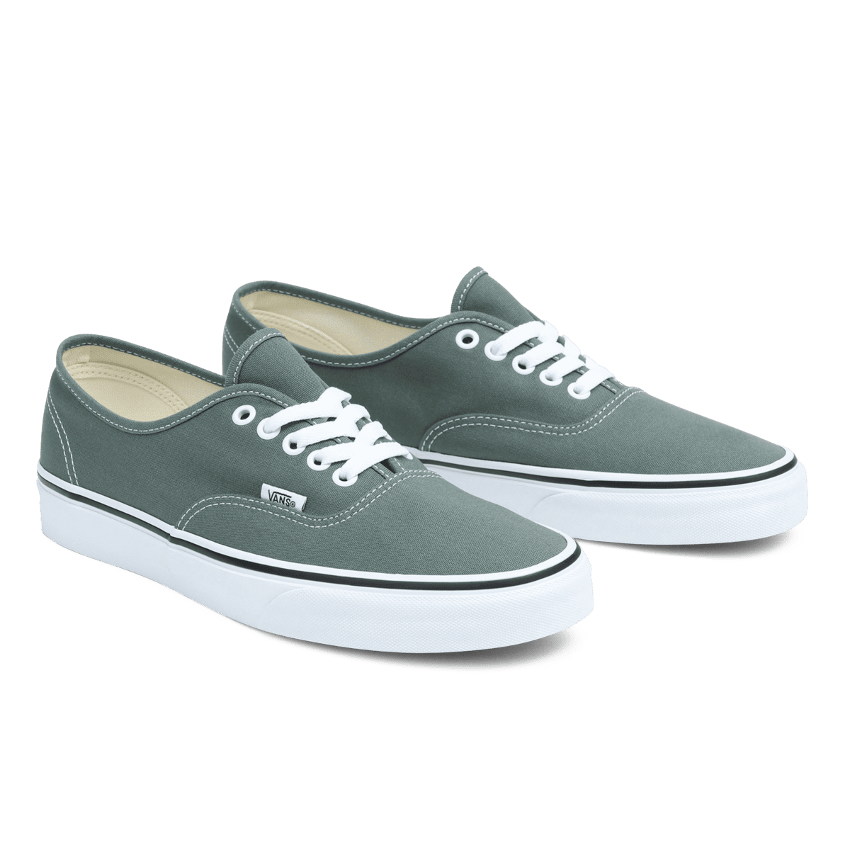 VANS Color Theory Authentic Groen (VN0A5JMPYQW)
