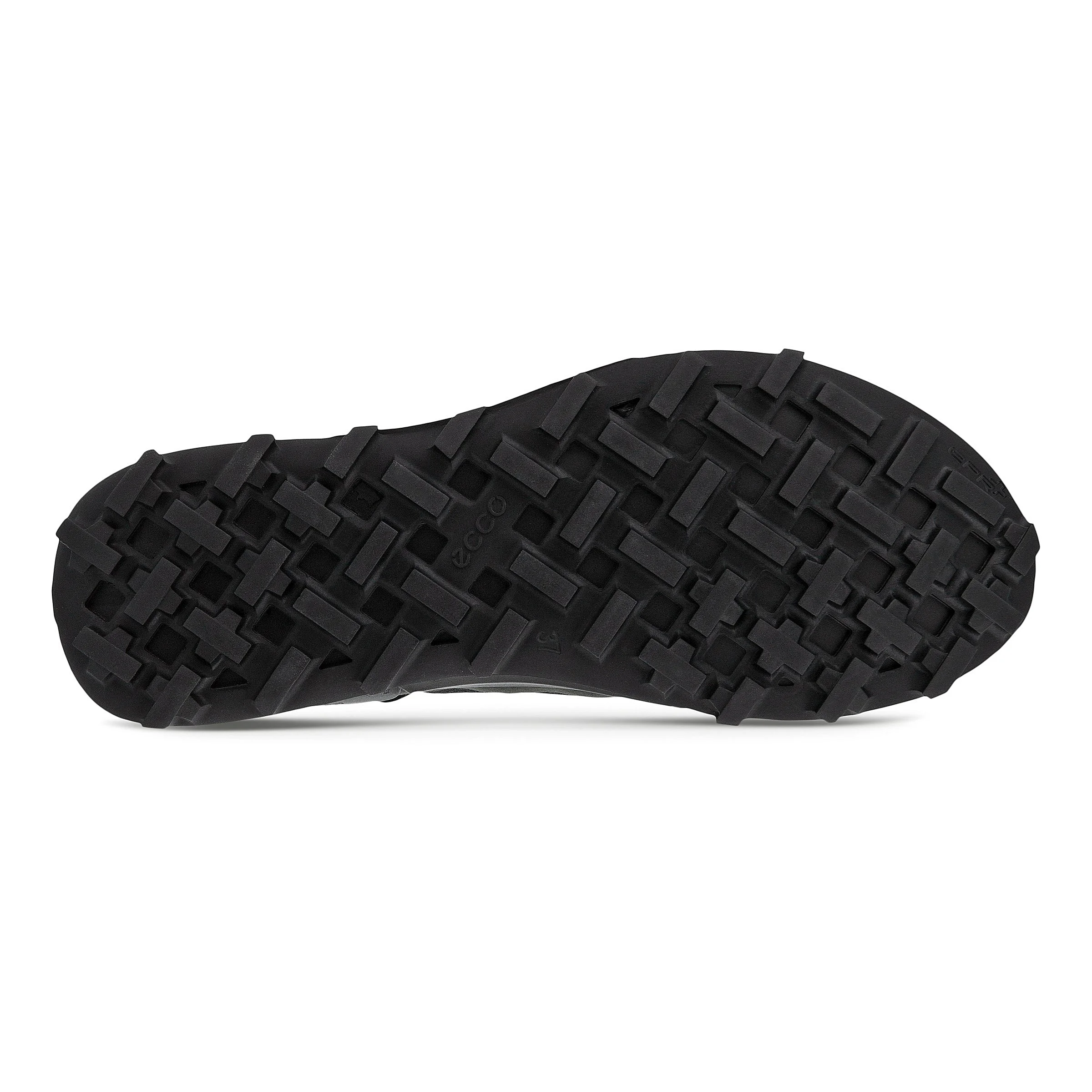 ECCO BIOM 2.1 X COUNTRY W Zwart (82280360266)