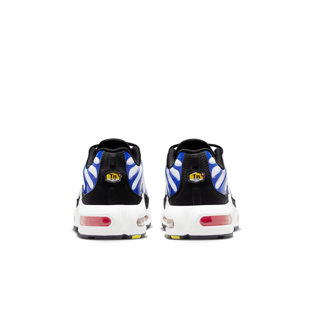Nike Air Max Plus Wit (CD0609-107)