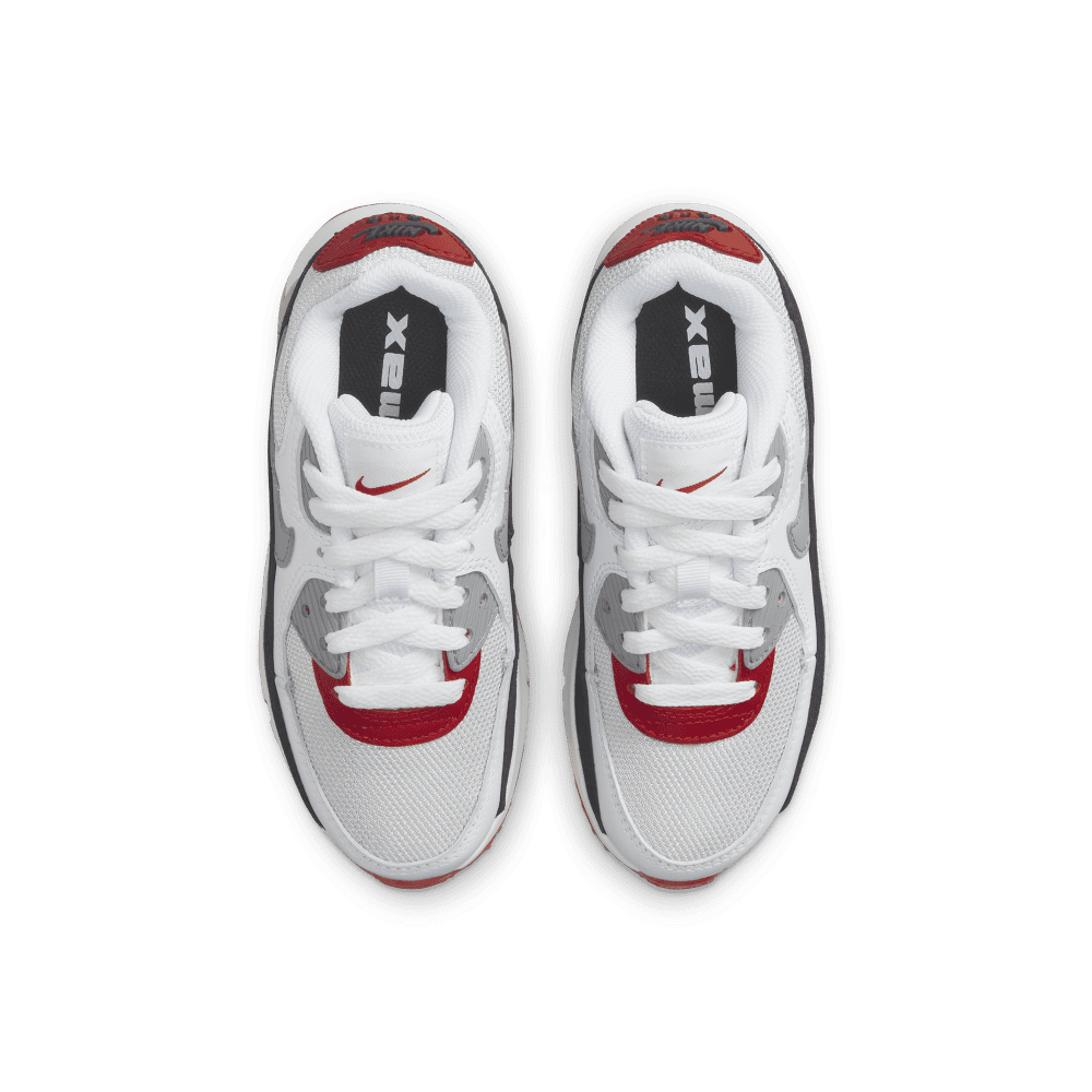 Nike Air Max 90 LTR Grijs (CD6867-019)