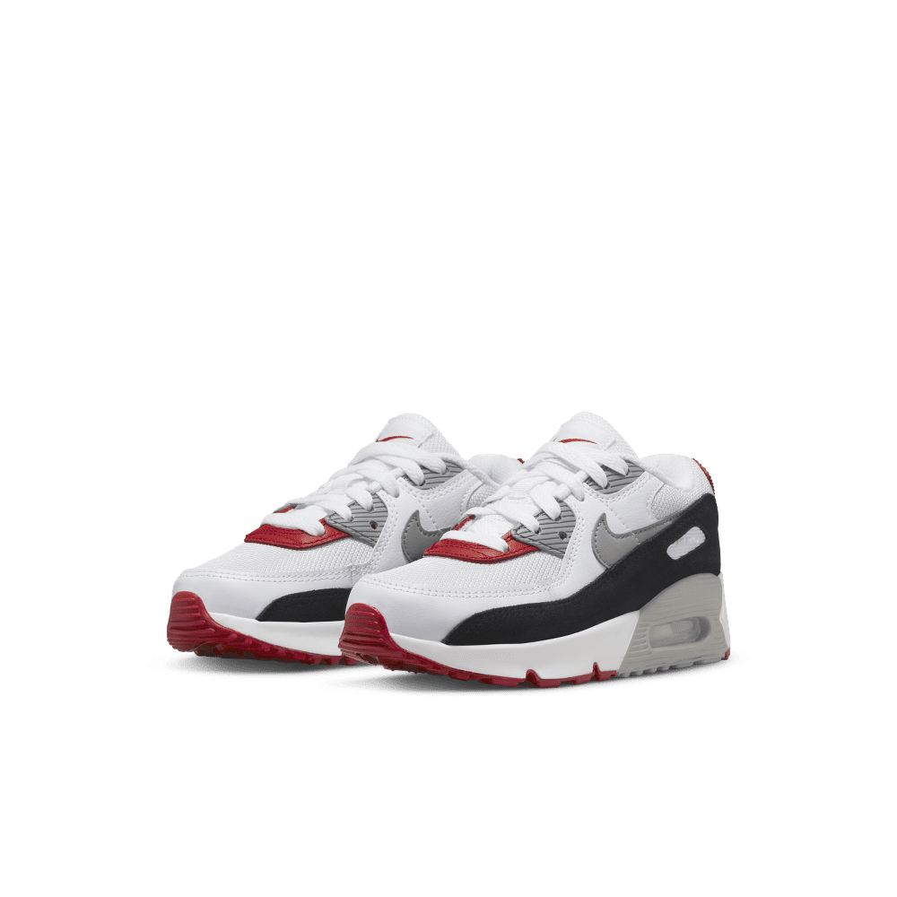 Nike Air Max 90 LTR Grijs (CD6867-019)