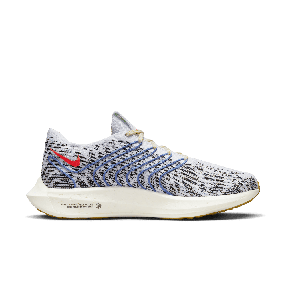 Nike Pegasus Turbo Next Nature (straat) Grijs (DM3413-002)