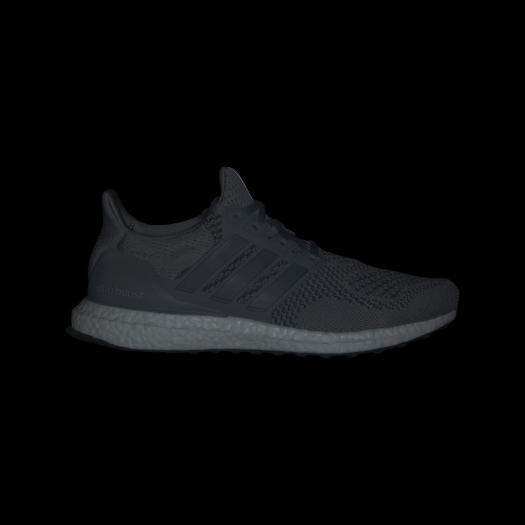 adidas Ultraboost 1.0 Grey Three / Grey Five / Core Black (HQ4200)