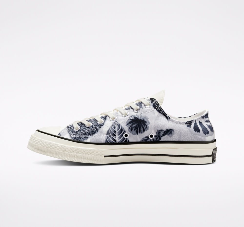 Converse Chuck 70 Tropical Leaf Egret/zwart/egret