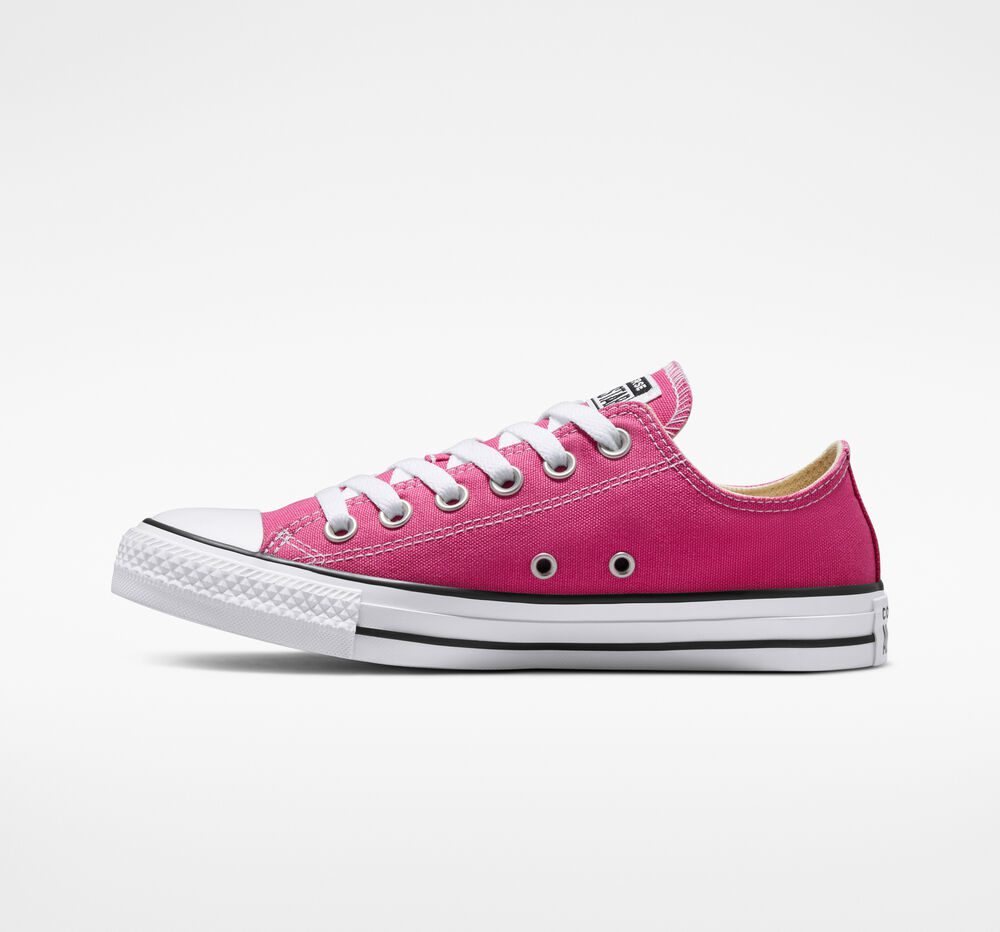 Converse Chuck Taylor All Star Seasonal Color Active Fuchsia/wit/zwart