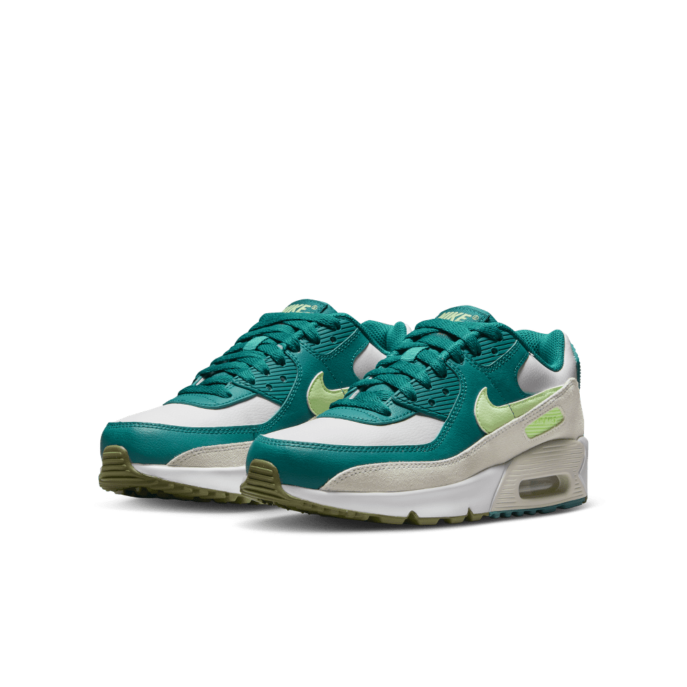 Nike Air Max 90 LTR Wit (CD6864-124)