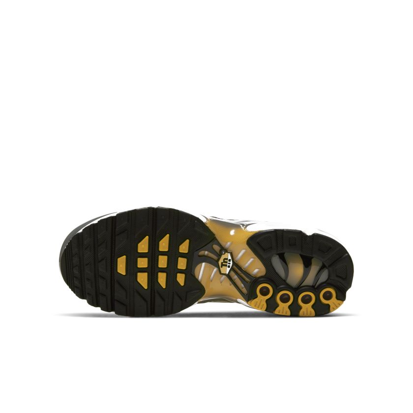 Nike Air Max Plus Particle Grey (GS) (DJ4619-002)